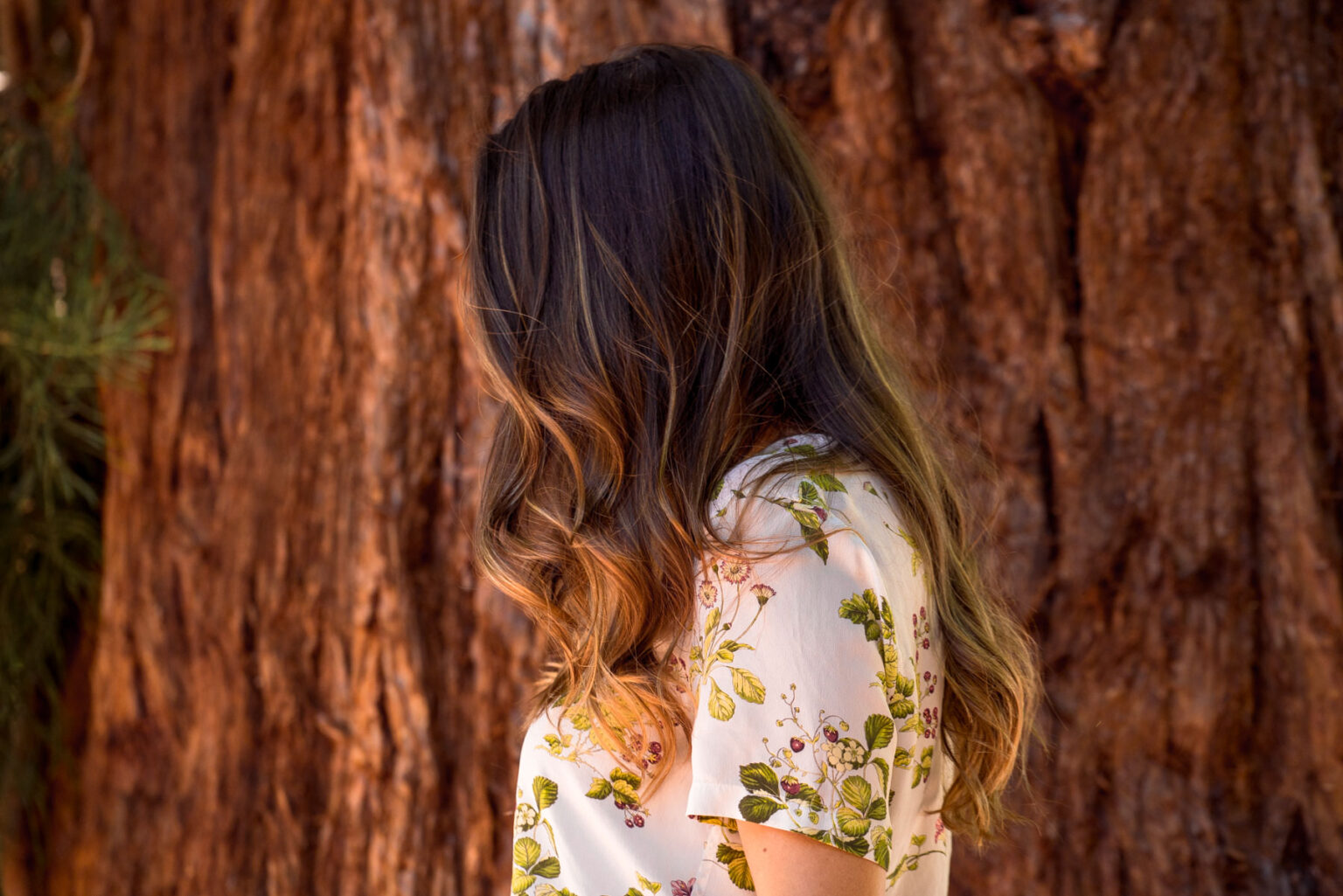 3 SCENIC Spots to See REDWOODS in Oregon (Local's Guide)