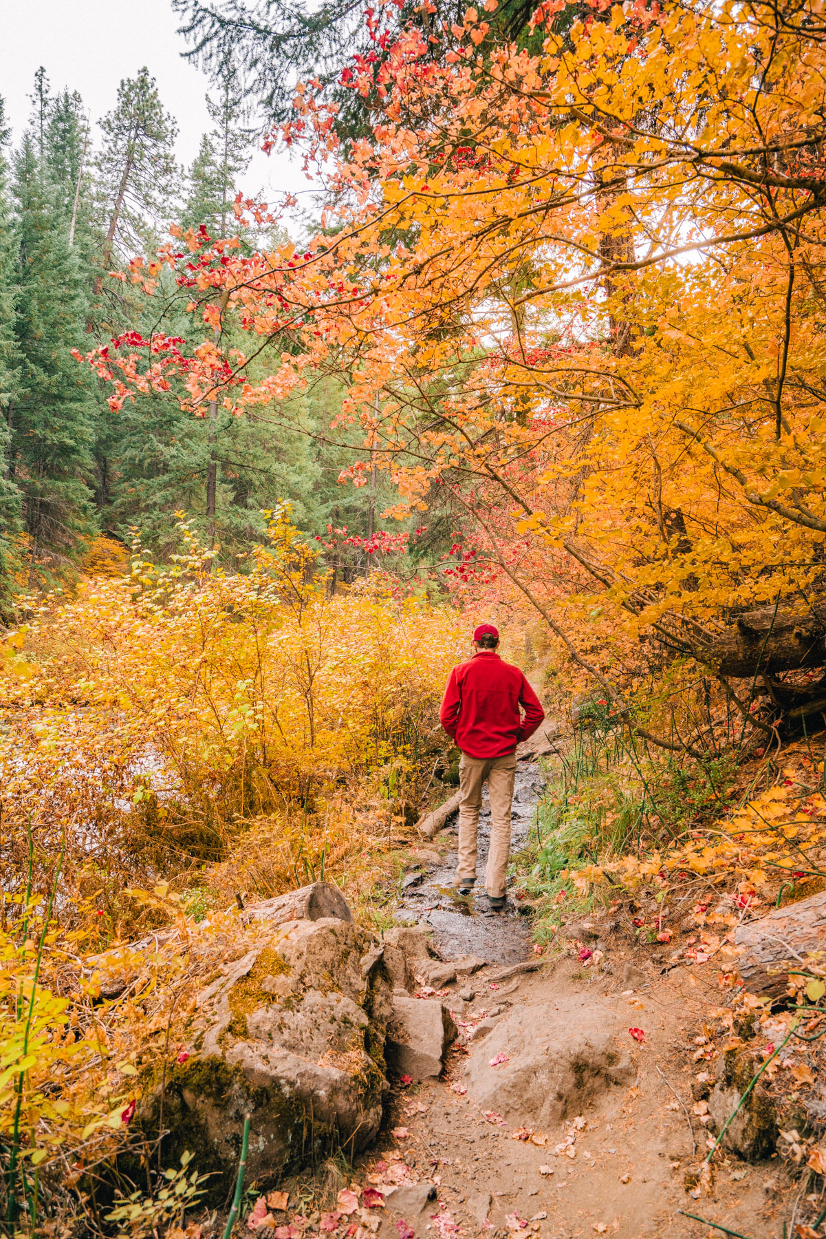 15 EPIC CAMPGROUNDS Near BEND, Oregon (+Video)
