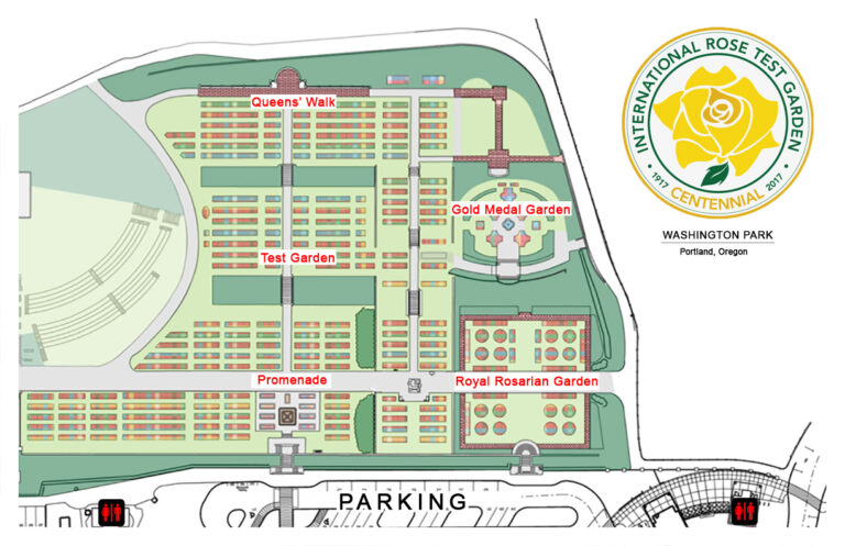 Visiting the Portland ROSE Garden (Helpful Local's Guide & Tips)