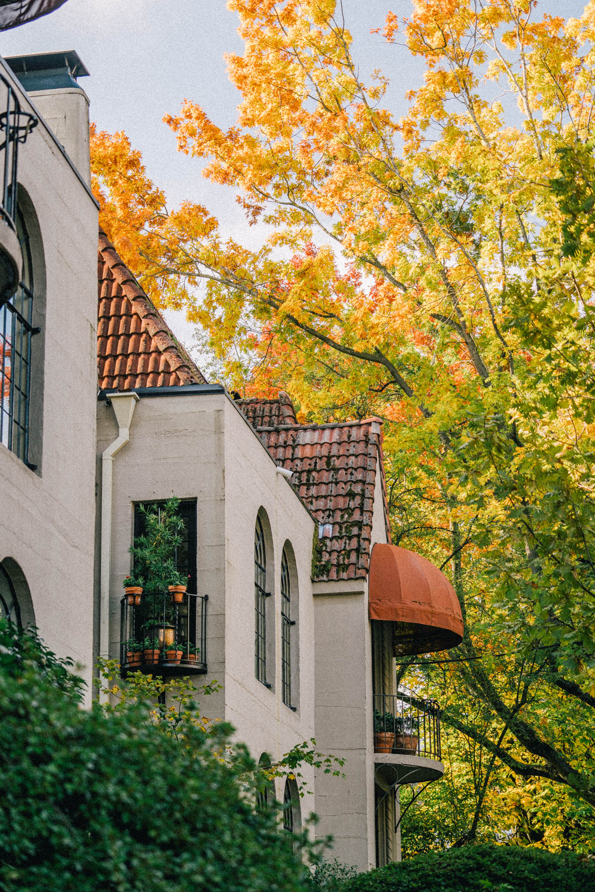 NORTHWEST Portland Neighborhood Guide (10 BEST Activities)