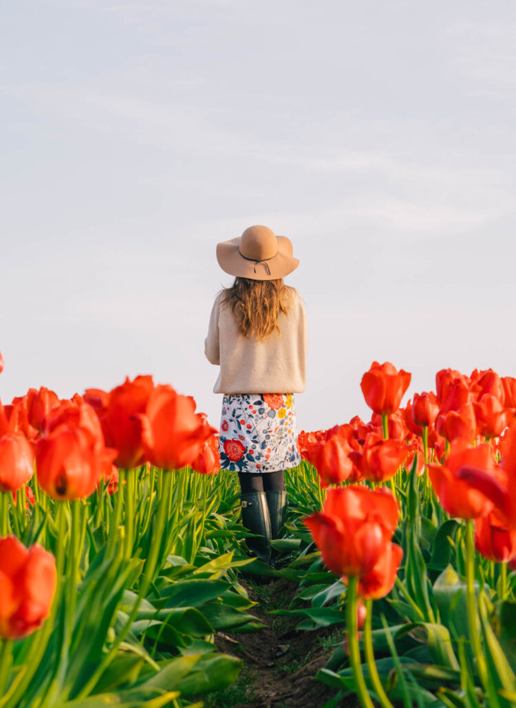 25+ FASCINATING Facts About Oregon State (You May Not Know)