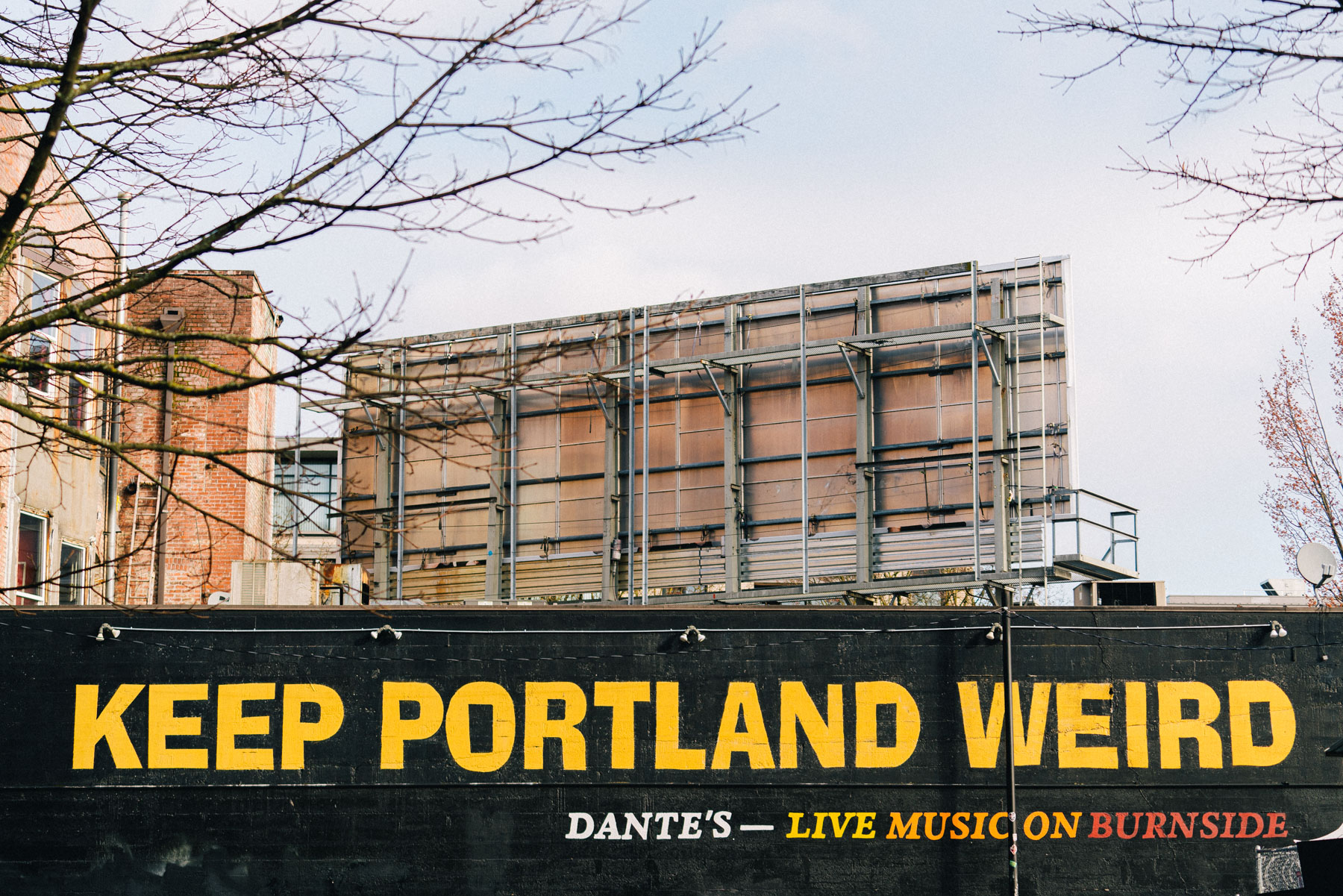 20 BEST Murals in Portland, Oregon (Local's Art Guide)