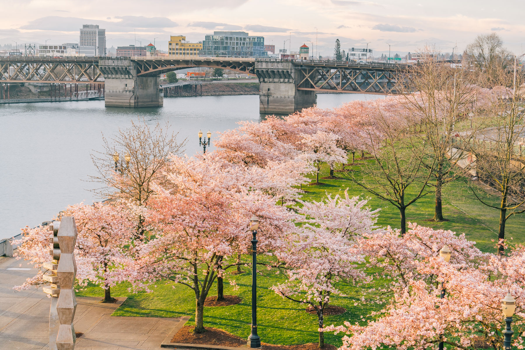15+ FUN Spring Activities in Portland, Oregon (Local's Guide)