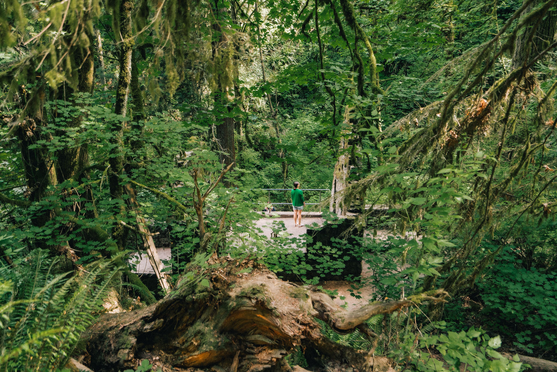 Visiting the Witch's Castle (A Weird Portland Rite of Passage)