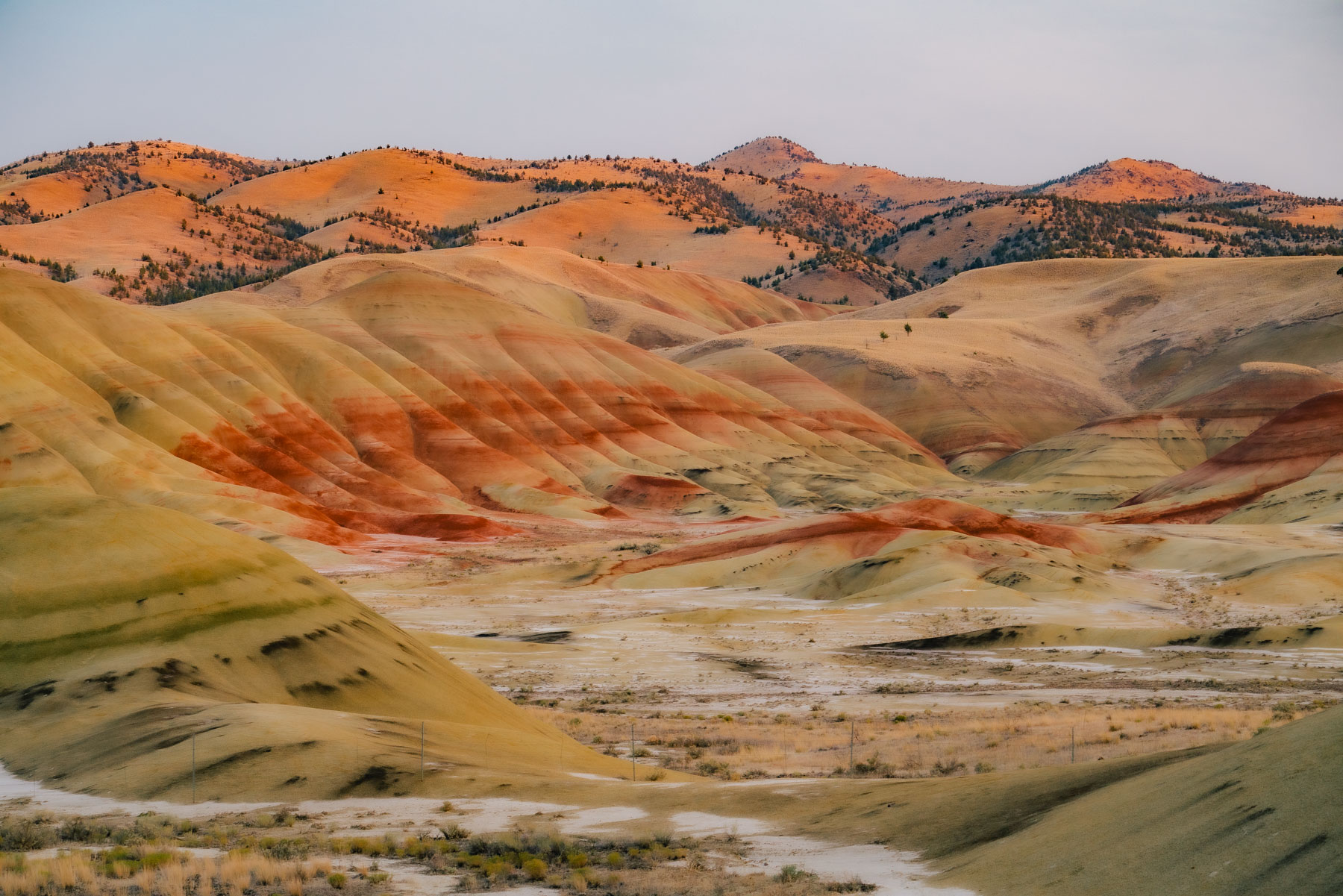 A (STUNNING) Guide to Oregon's PAINTED HILLS (Photos & Tips)