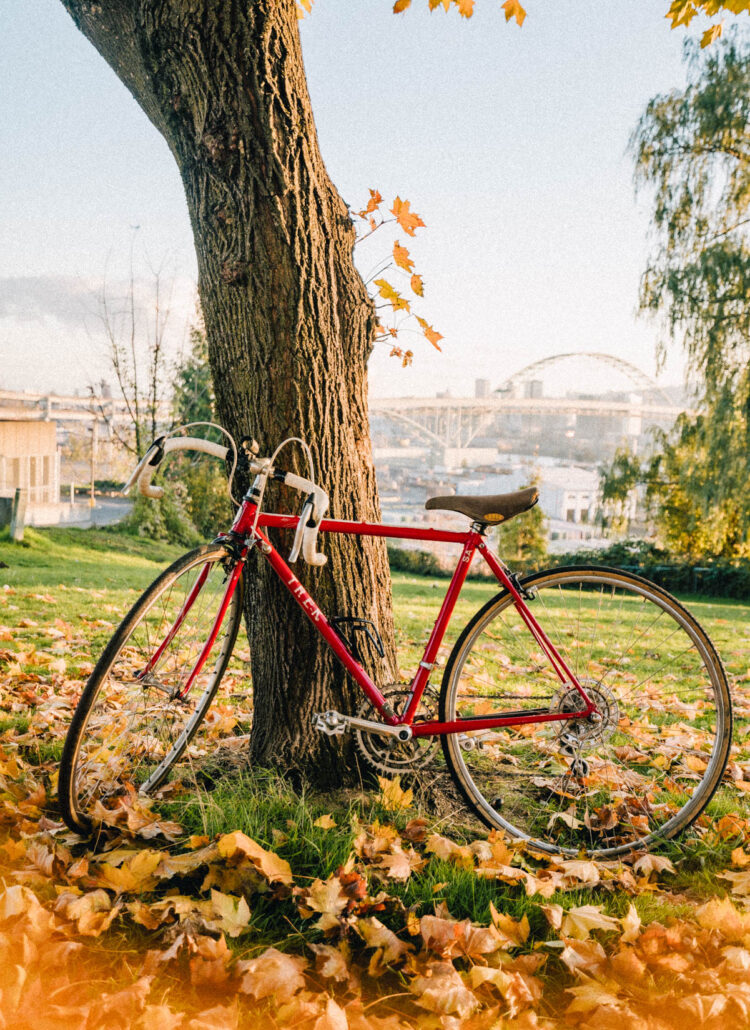 10 SAFEST Cities in Oregon Based on Stats (Helpful Guide)