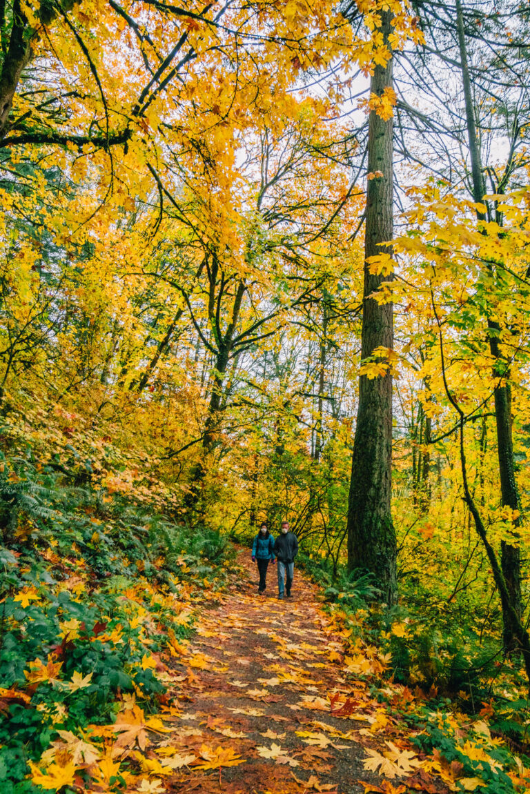 15 STUNNING Spots for Fall Color in Portland, Oregon (+Photos)