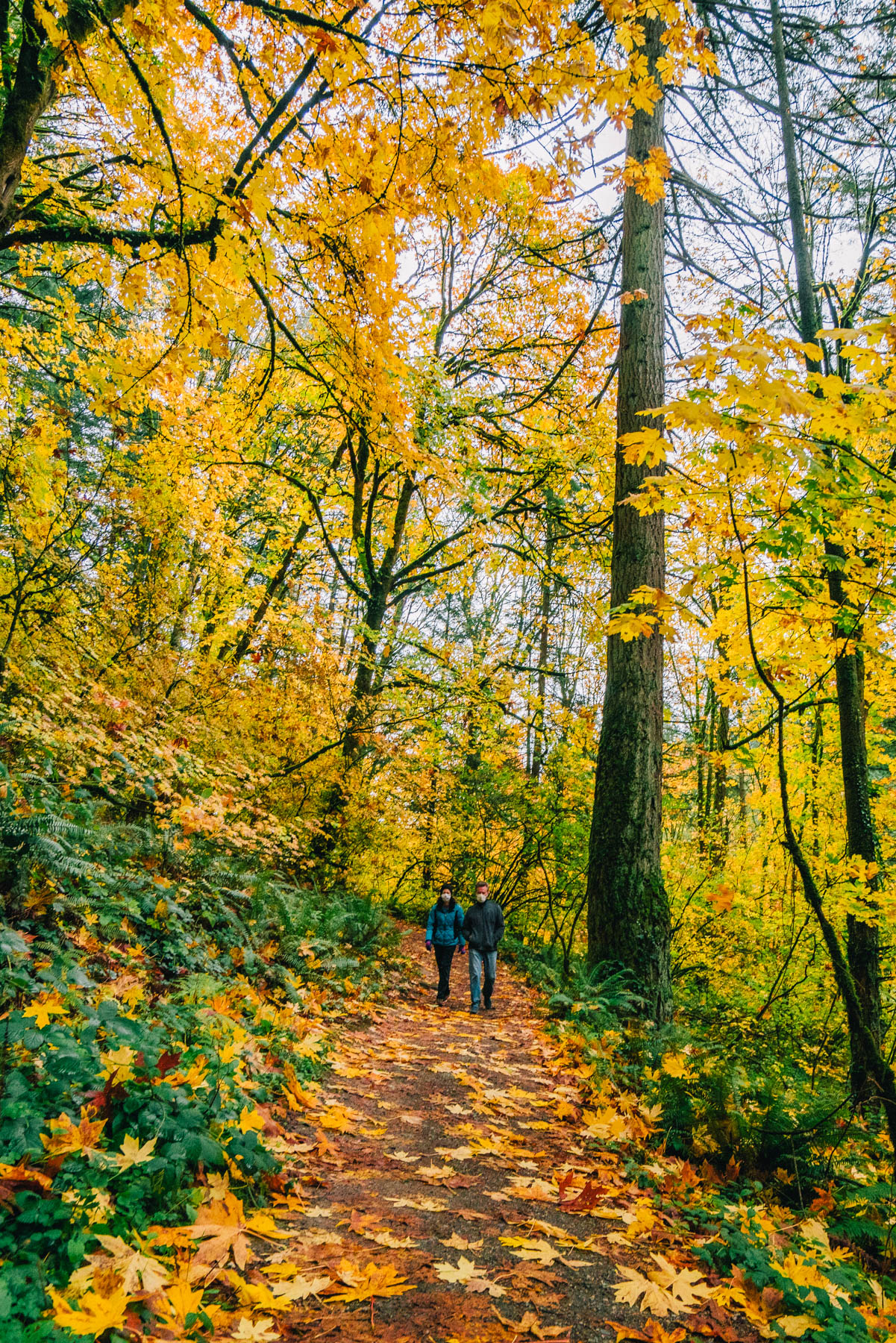 15 STUNNING Spots for Fall Color in Portland, Oregon (+Photos)