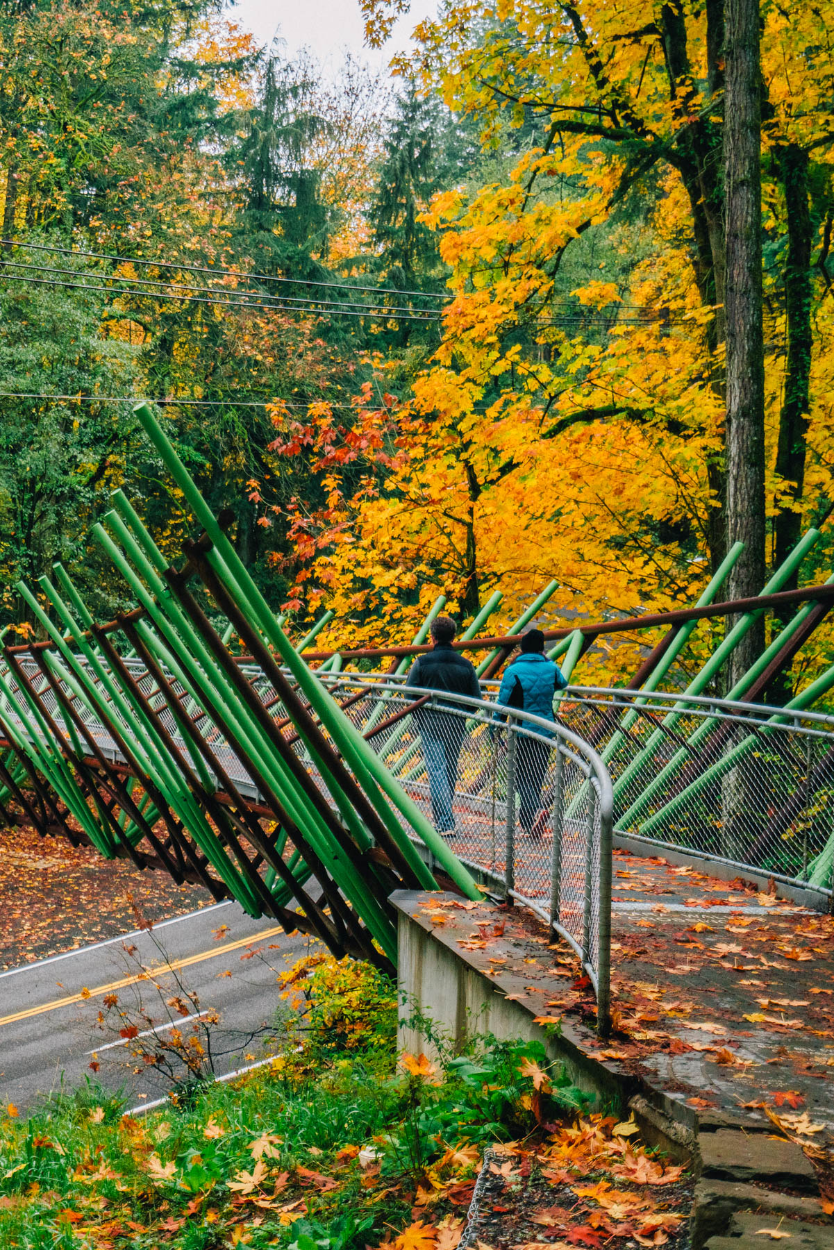 All the Best Hikes Near Portland (A Very Helpful Local Guide)