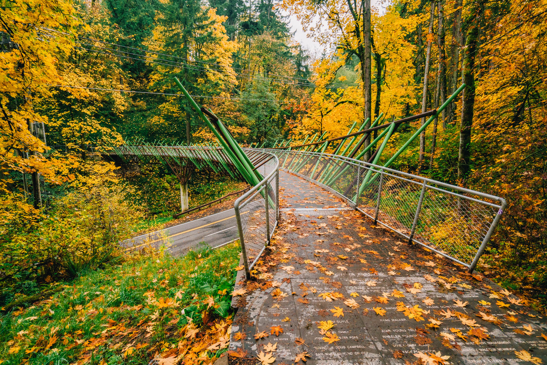 15 STUNNING Spots for Fall Color in Portland, Oregon (+Photos)