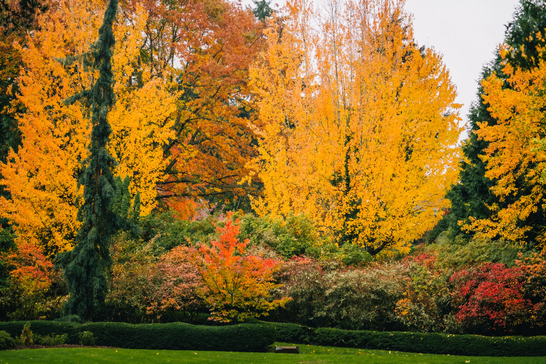 15 STUNNING Parks in Portland, Oregon (Local's Guide)