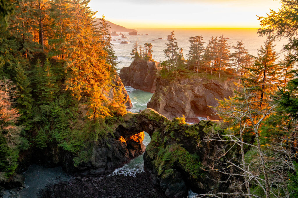 20 JAW-DROPPING Places in Oregon You Have to See to Believe