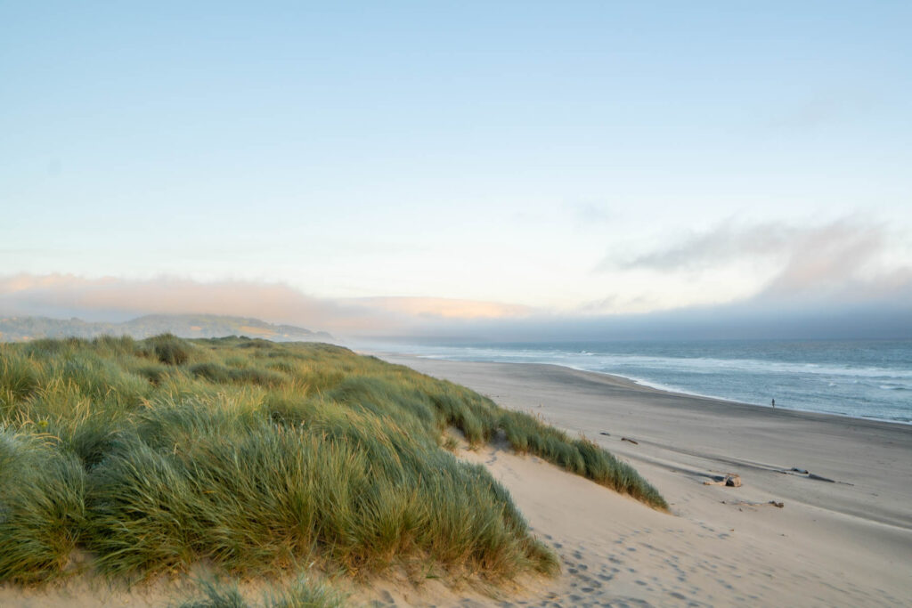 12 EPIC Campgrounds at the OREGON Coast (Local's Guide)
