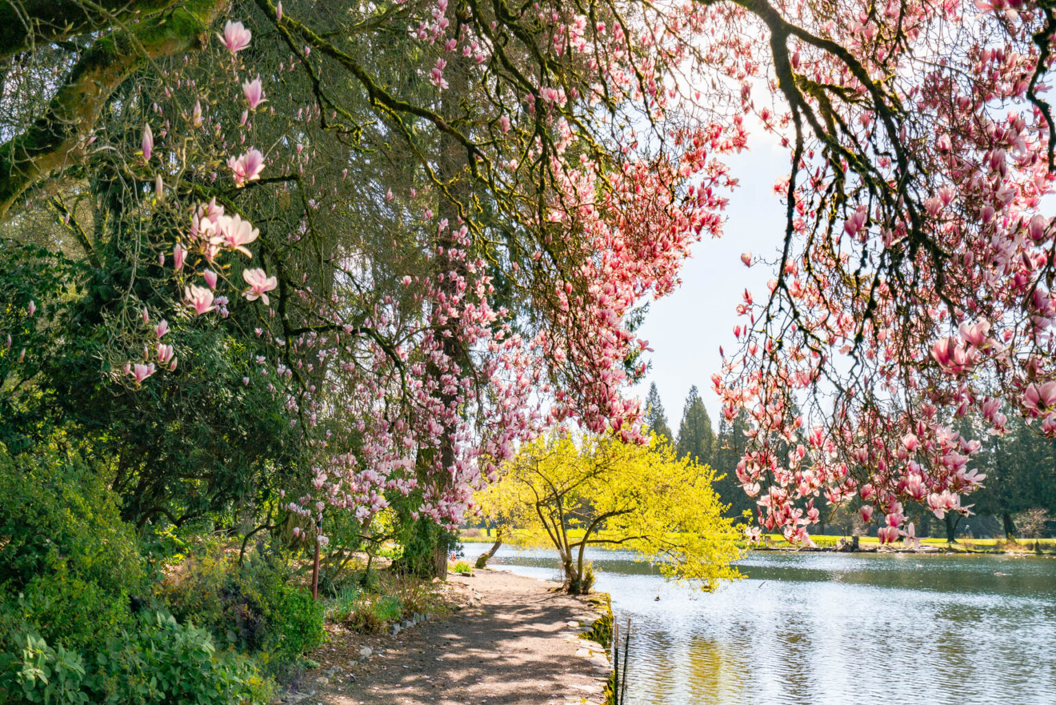 15 STUNNING Parks in Portland, Oregon (Local's Guide)
