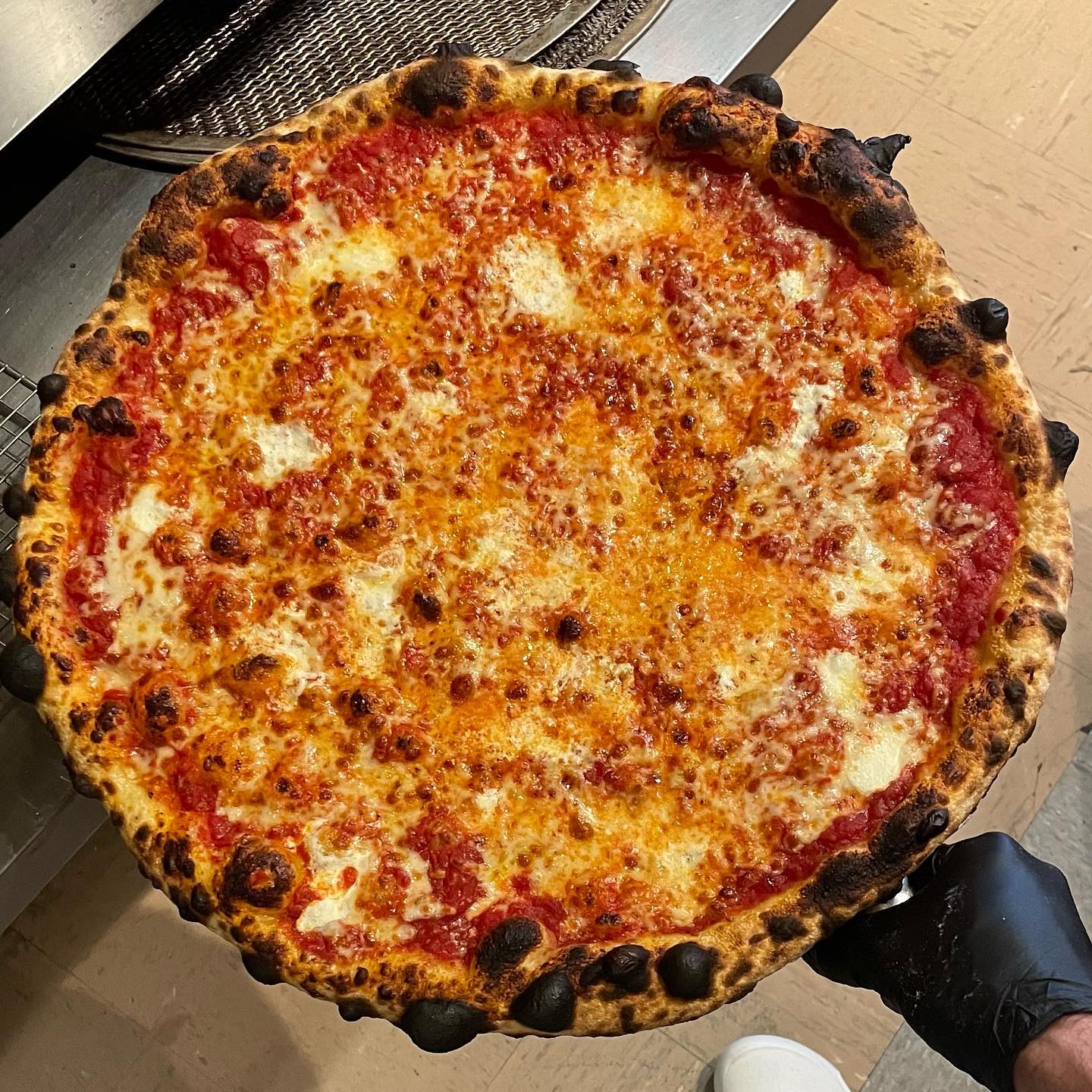 15 DELICIOUS Portland Pizzas You Need in Your Life (Local Tips)