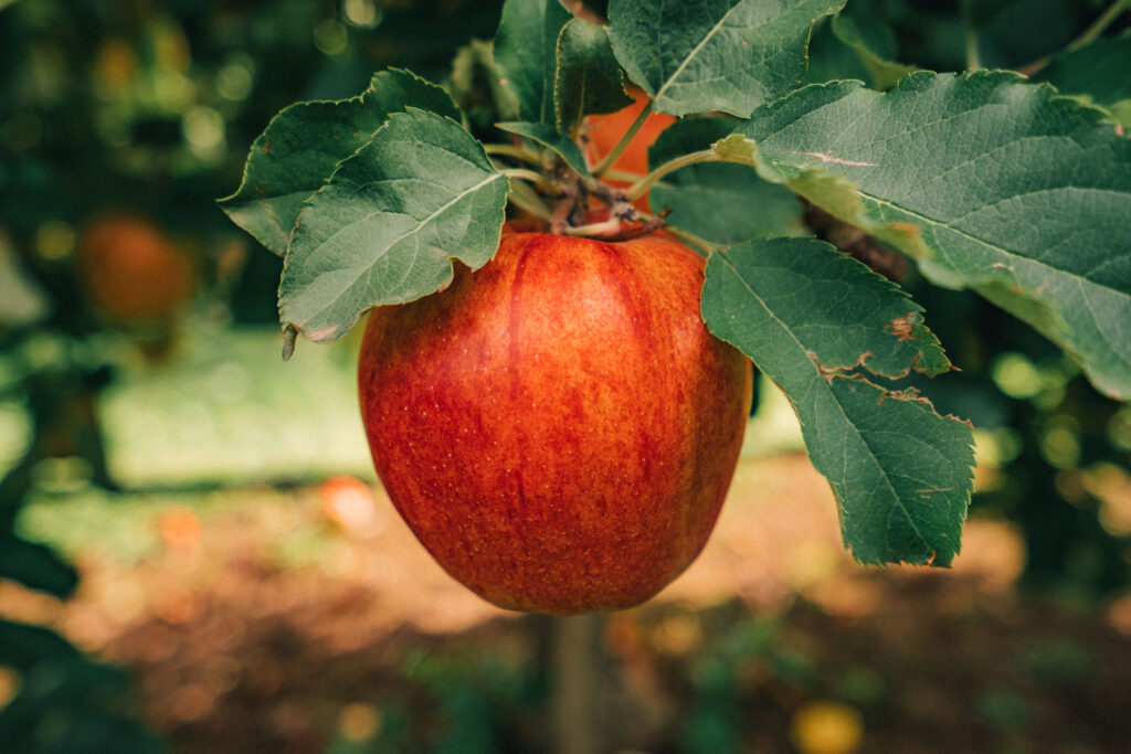 Oregon's BREATHTAKING 7 Wonders (+6 to Add ASAP)