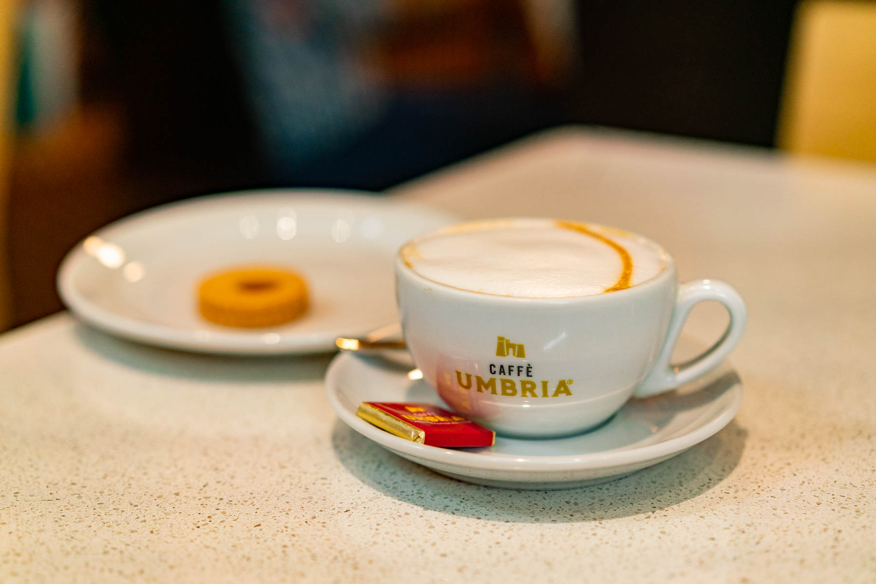 15+ CHARMING Cafes in Portland (Serving the Best Coffee!)