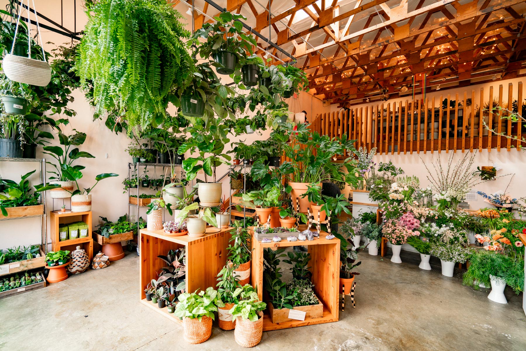 5 CHARMING Portland Plant Shops (Green Thumbs' Guide)