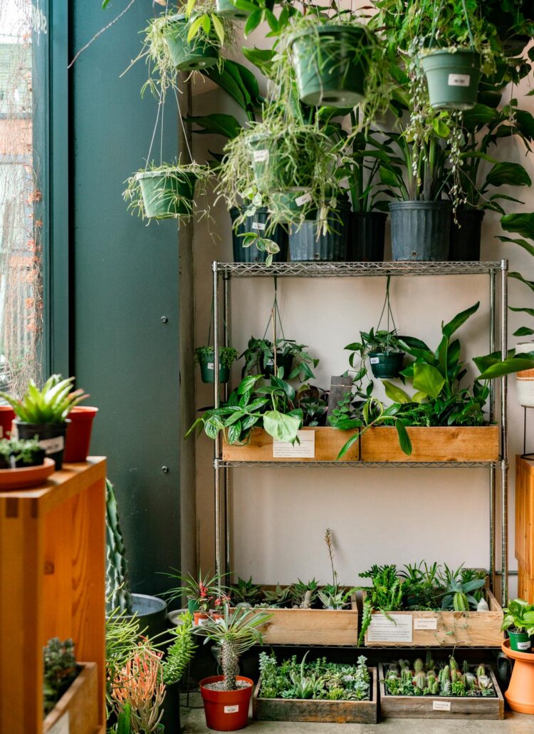 Visiting the PEACEFUL Portland Grotto (Helpful Guide + Photos)