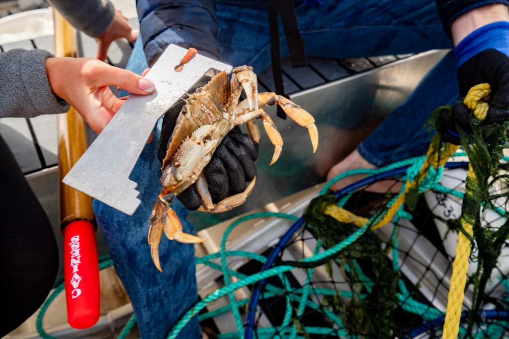 5 BEST Crabbing Spots at the Oregon Coast (& Crabbing Guide)