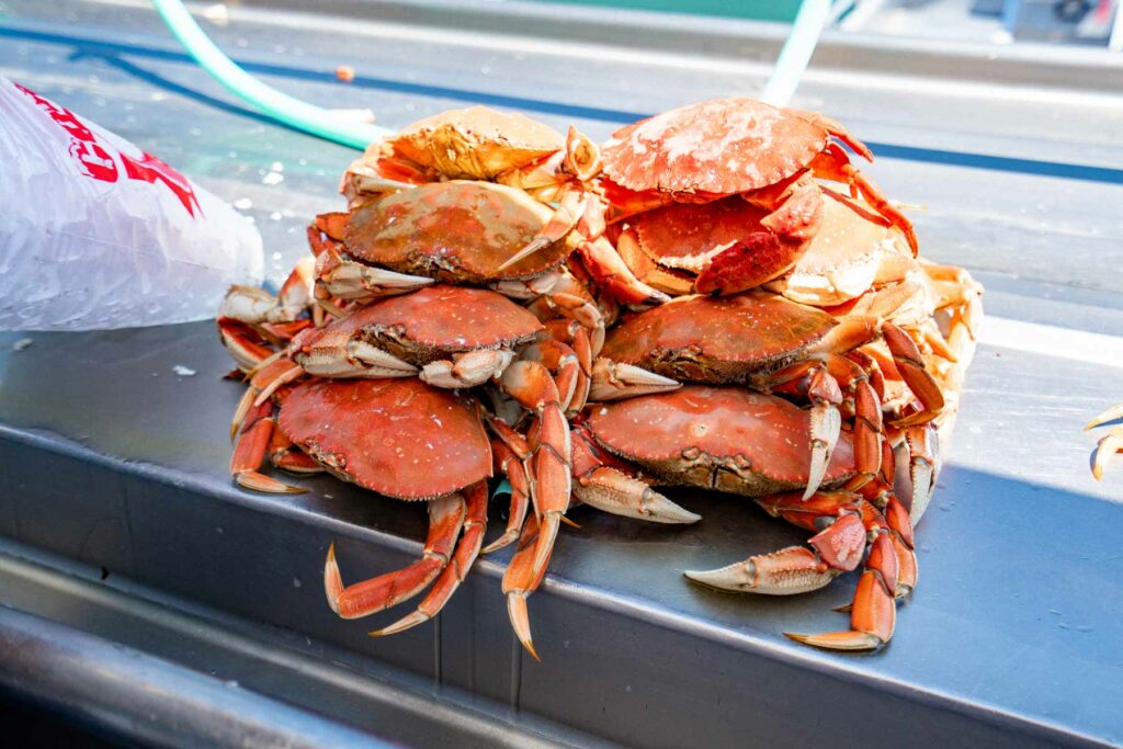 5 BEST Crabbing Spots at the Oregon Coast (& Crabbing Guide)