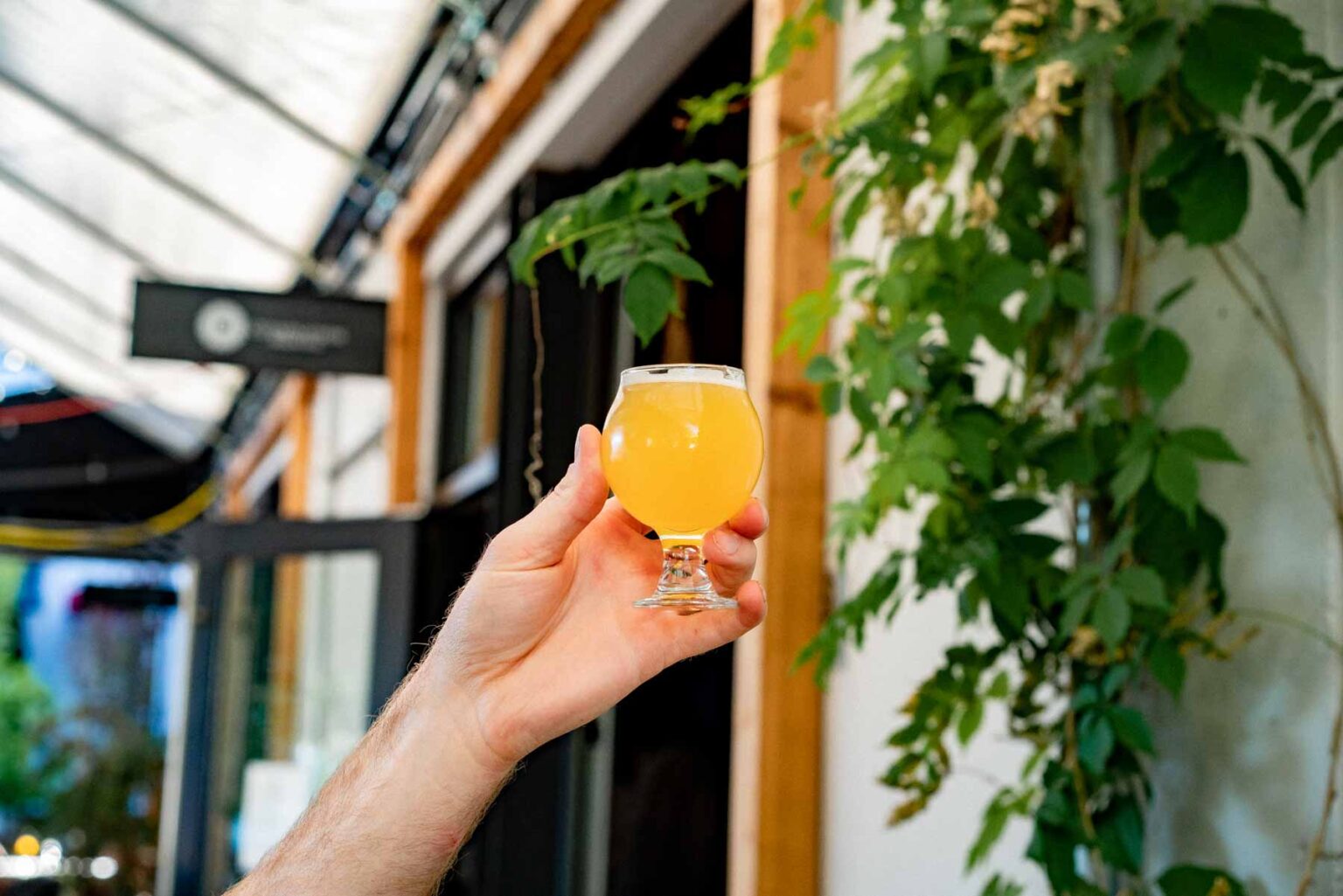 20 EPIC Craft Breweries in Oregon Guaranteed to Satisfy