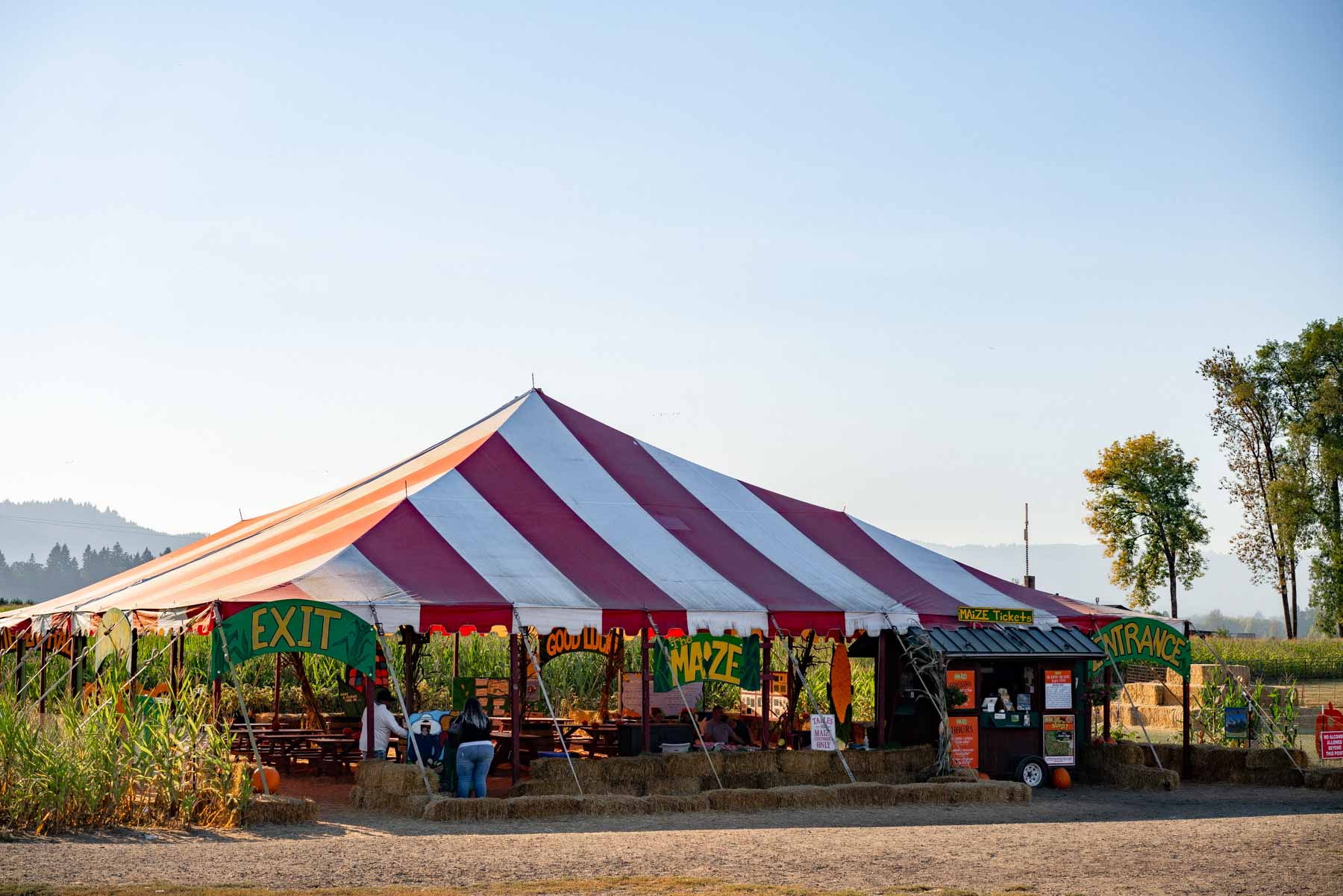 10+ Perfect U-Pick Pumpkin Patches Near Portland (Local's Guide)