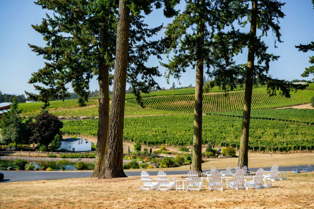 15 COZY Wine Bars in PORTLAND, Oregon | The Thirsty Local