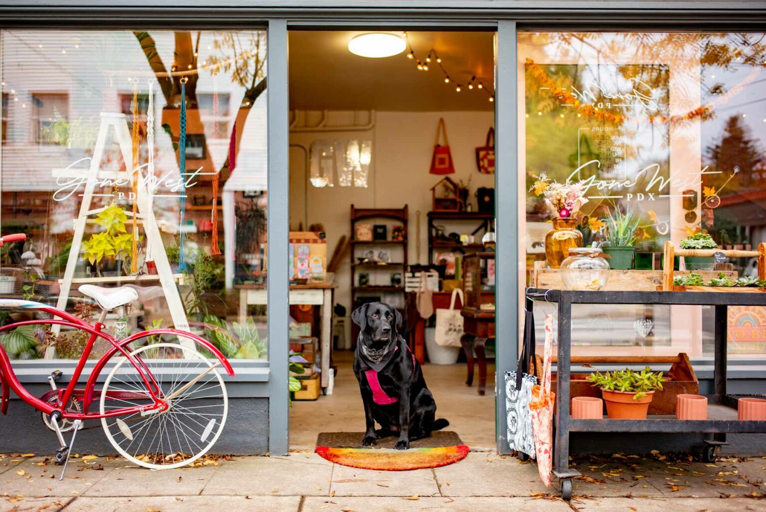 20+ Interesting Facts About Portland (You Probably Don’t Know) - Oregon ...