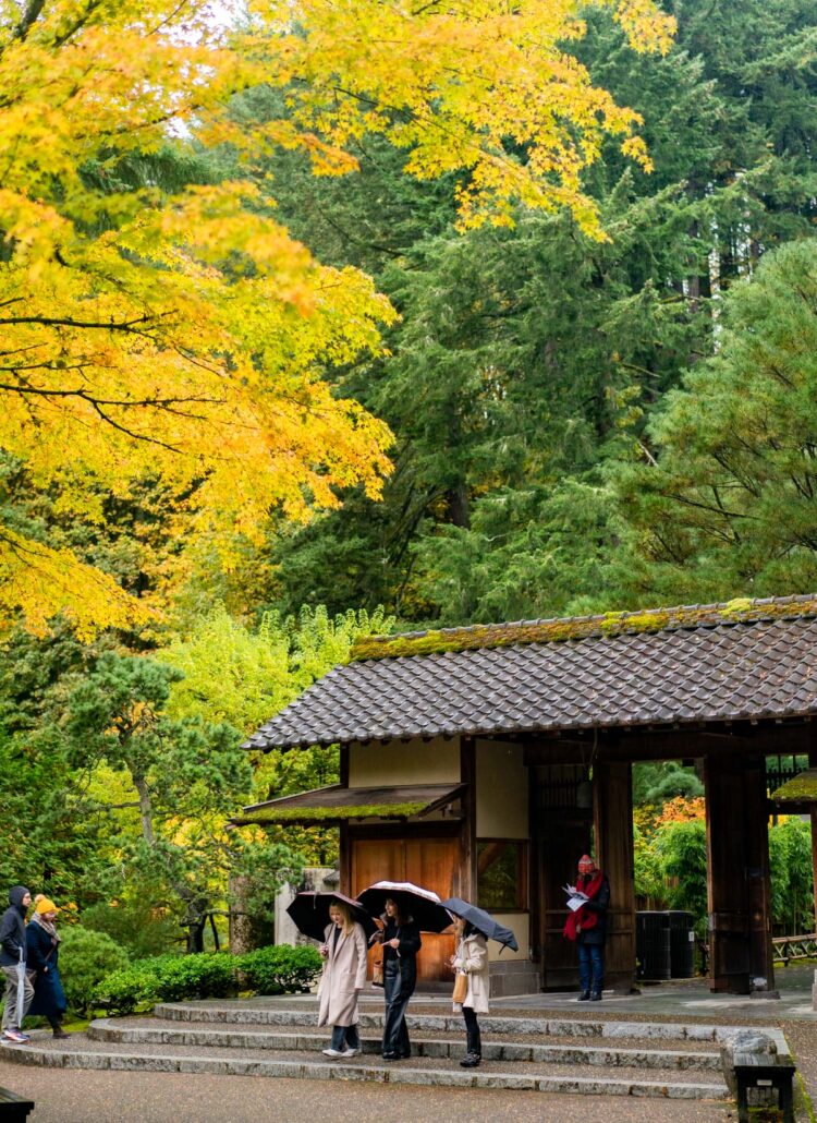 Visiting the PEACEFUL Portland Grotto (Helpful Guide + Photos)