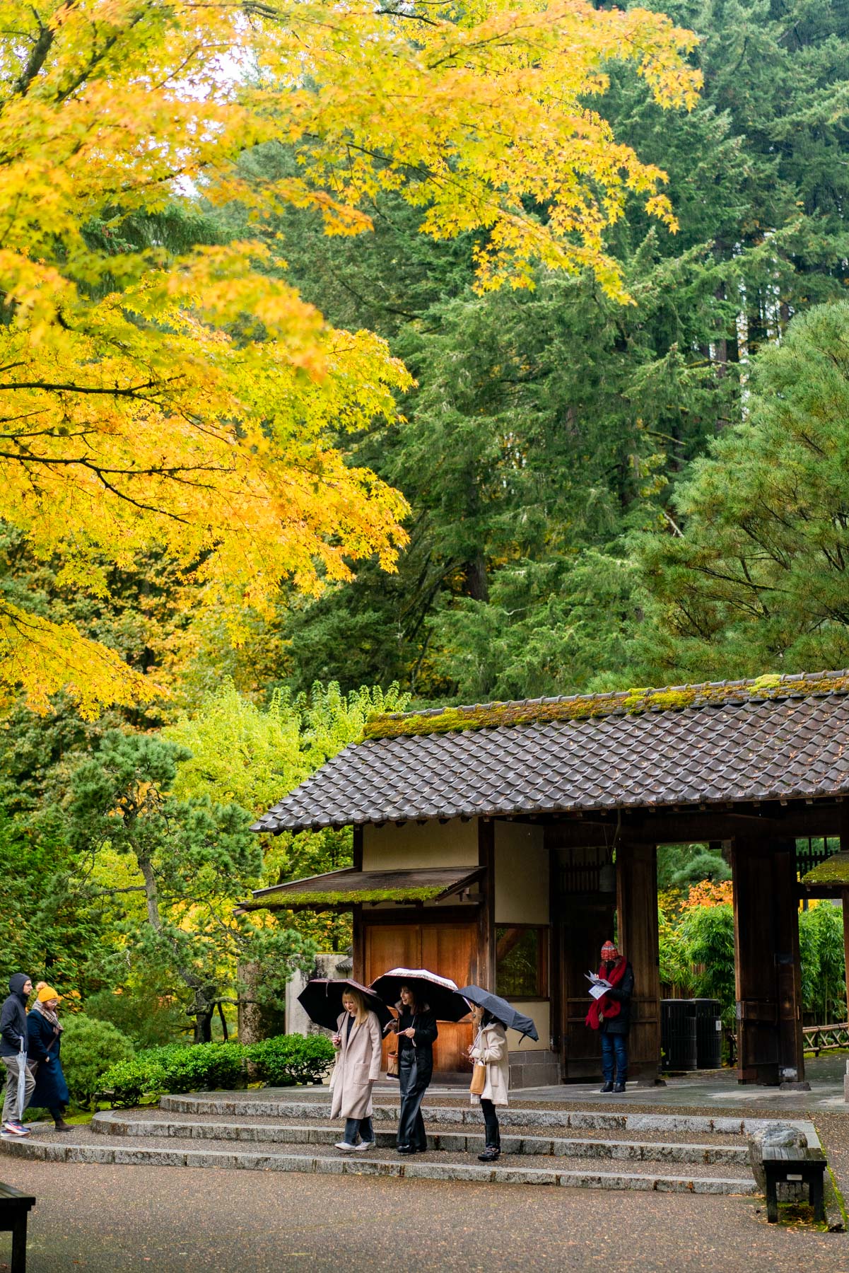 15 STUNNING Spots for Fall Color in Portland, Oregon (+Photos)