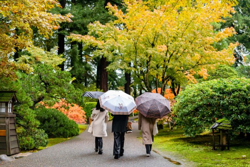 15 STUNNING Spots for Fall Color in Portland, Oregon (+Photos)