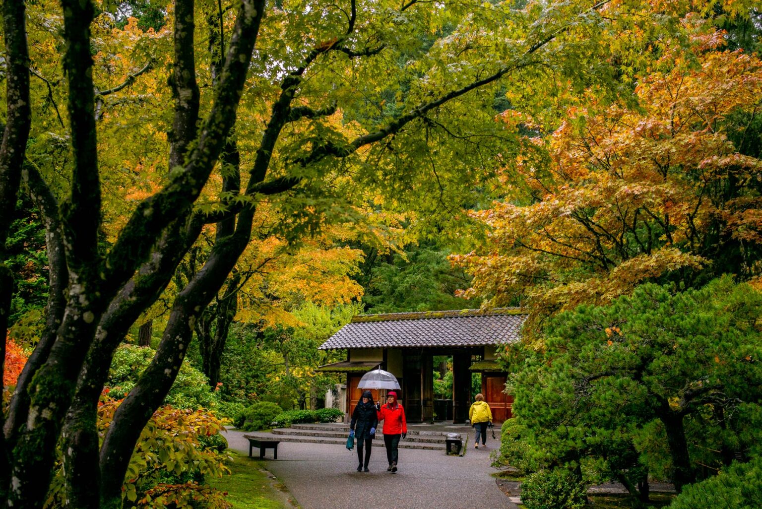 15 STUNNING Spots for Fall Color in Portland, Oregon (+Photos)