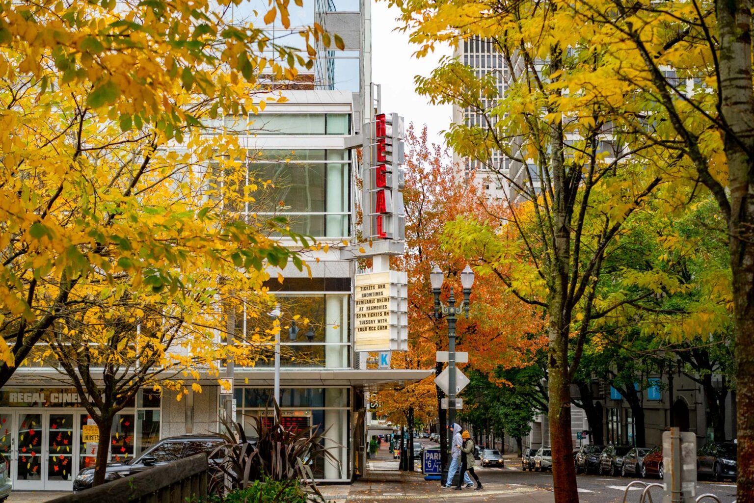 What to Do in Portland When It Rains (A Local's Guide)