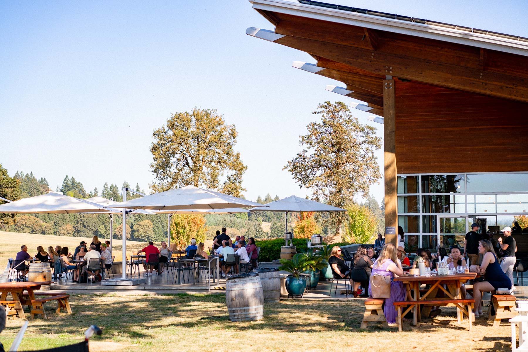 10 MEMORABLE Willamette Valley Wineries Worth Visiting