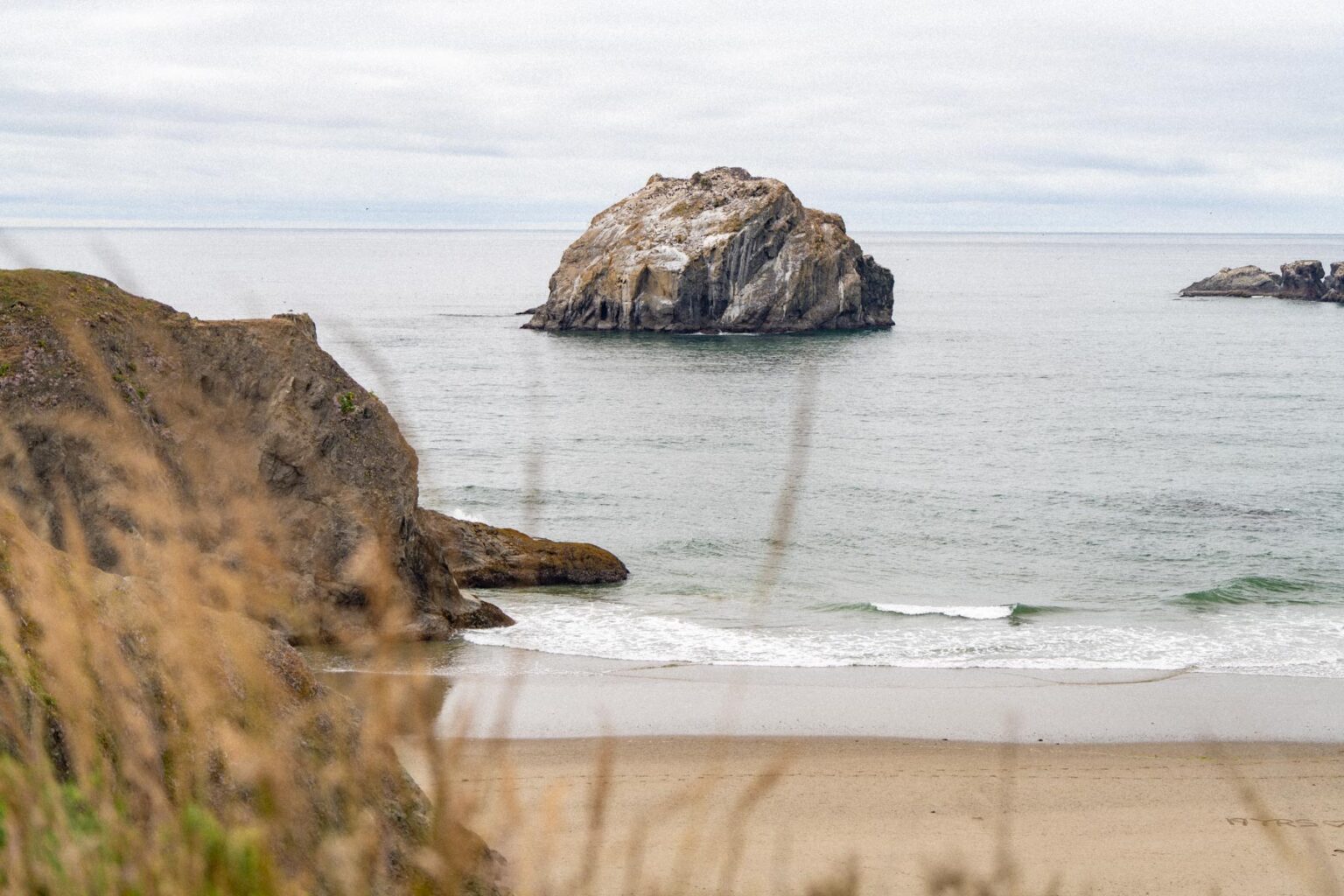 10 BEST Spots for Wildlife at the Oregon Coast (Helpful Guide)