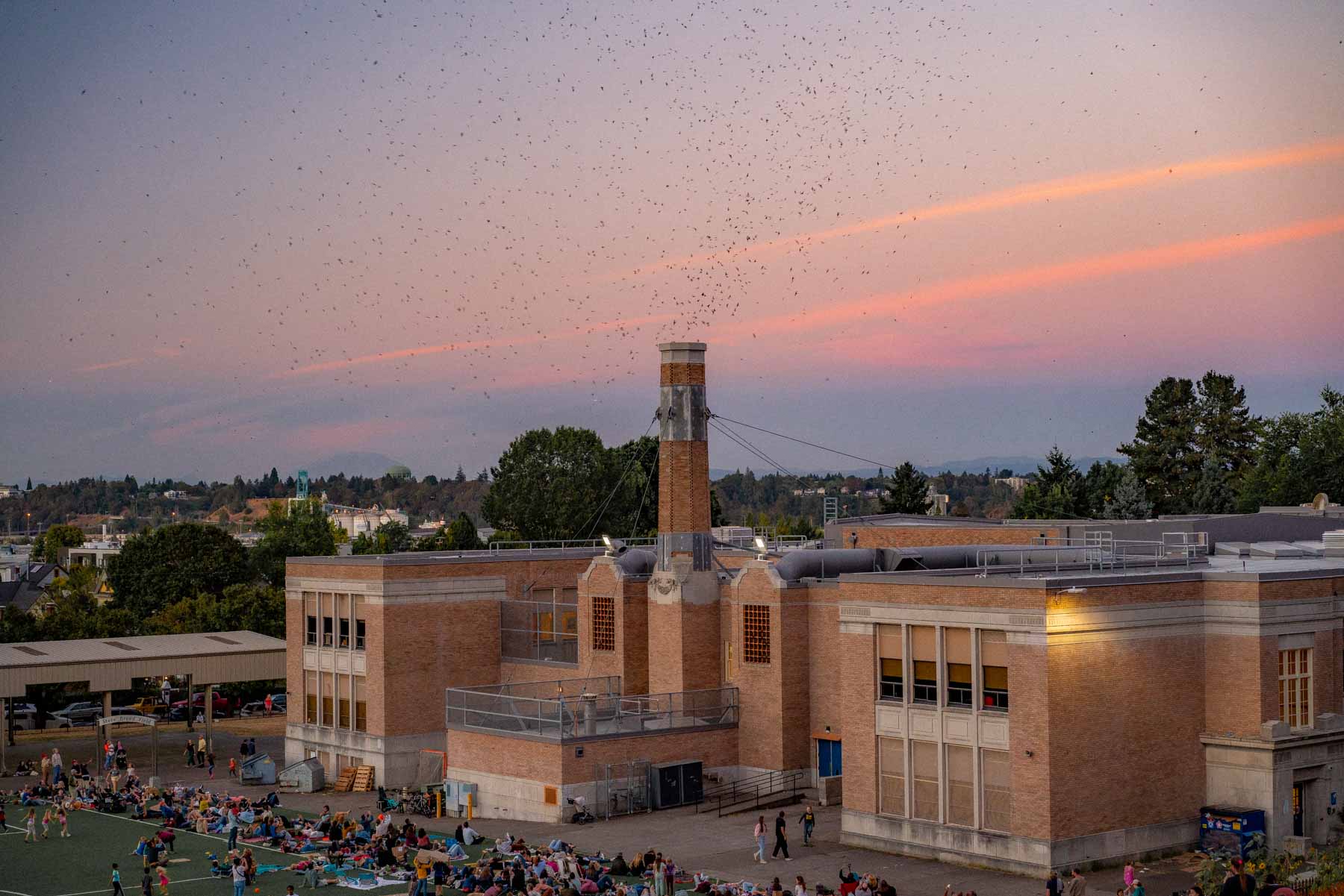 DID YOU KNOW? 20+ Interesting & Useful FACTS About Portland