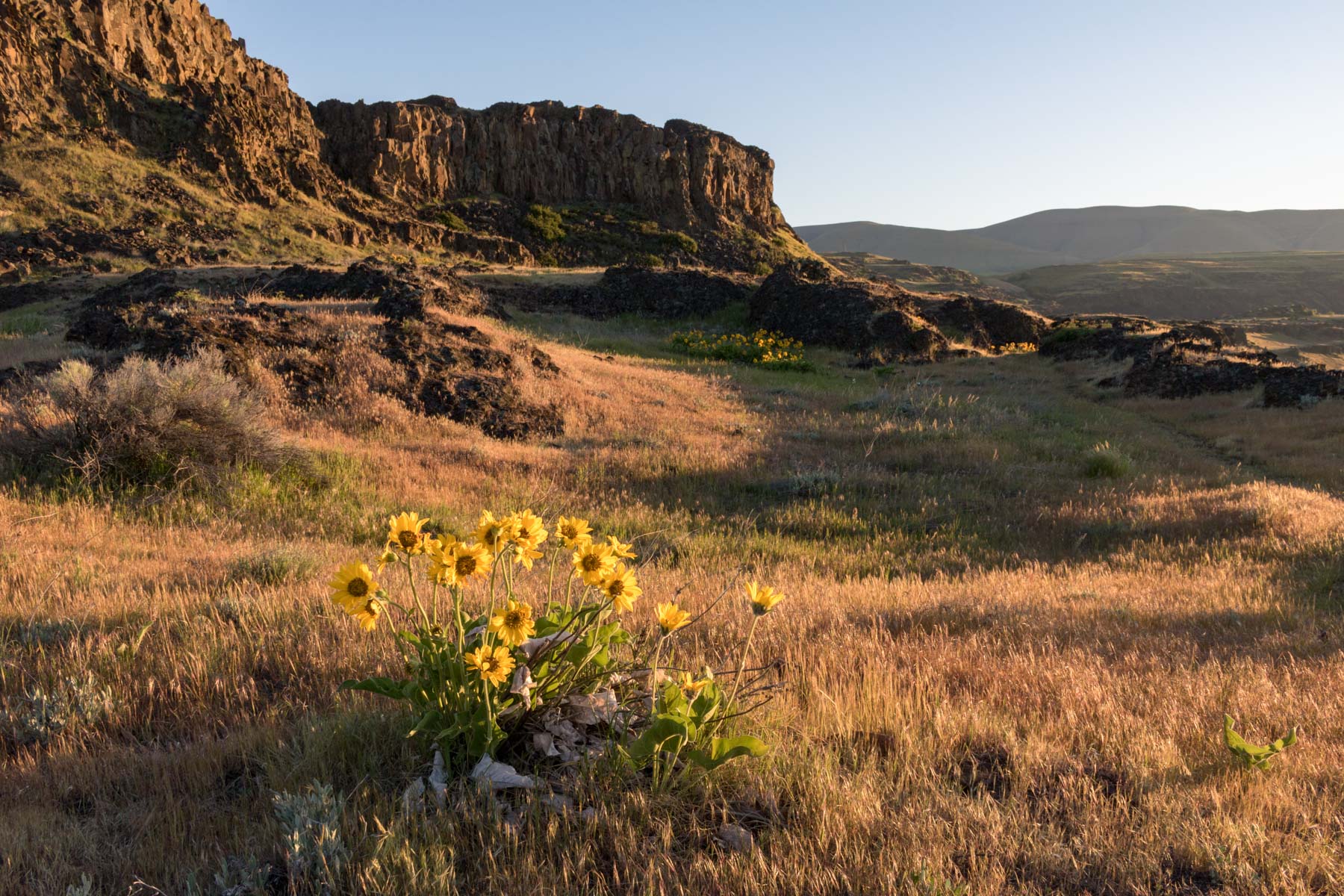 15 EPIC Hikes in the Columbia Gorge (For All Skill Levels)
