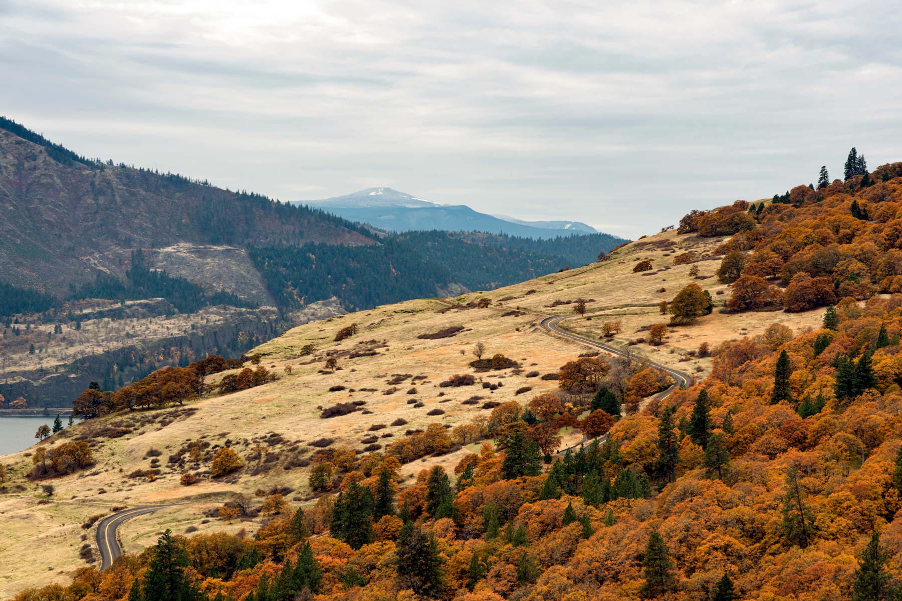 15 EPIC Hikes in the Columbia Gorge (For All Skill Levels)