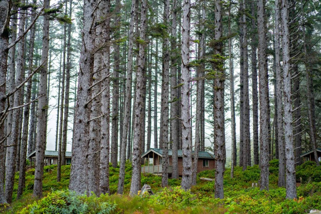 12 EPIC Campgrounds at the OREGON Coast (Local's Guide)
