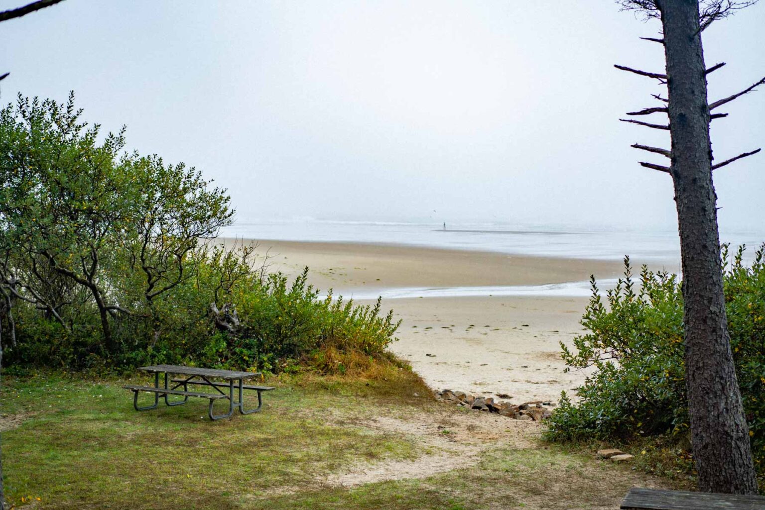12 EPIC Campgrounds at the OREGON Coast (Local's Guide)