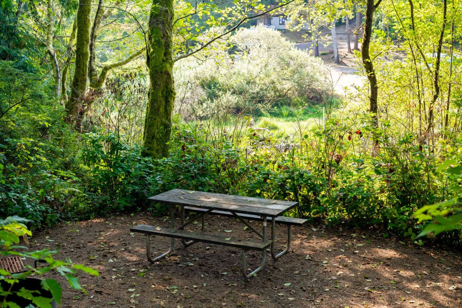 12 EPIC Campgrounds at the OREGON Coast (Local's Guide)