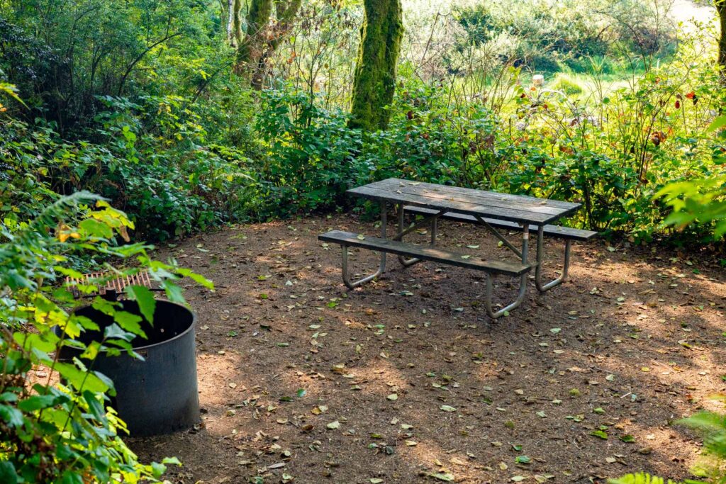 12 EPIC Campgrounds at the OREGON Coast (Local's Guide)