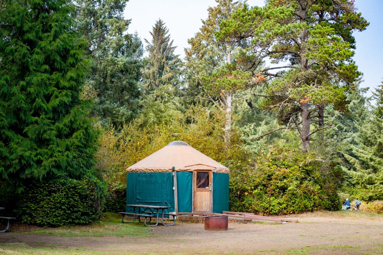 12 EPIC Campgrounds at the OREGON Coast (Local's Guide)