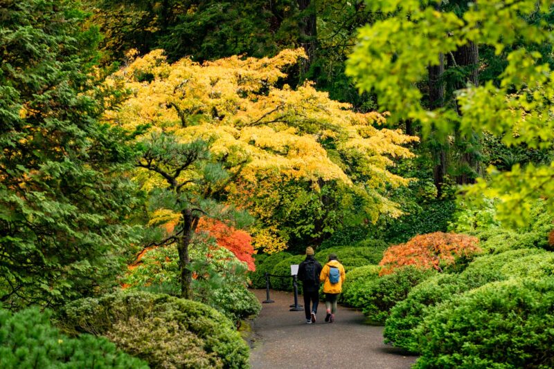 15 STUNNING Spots for Fall Color in Portland, Oregon (+Photos)