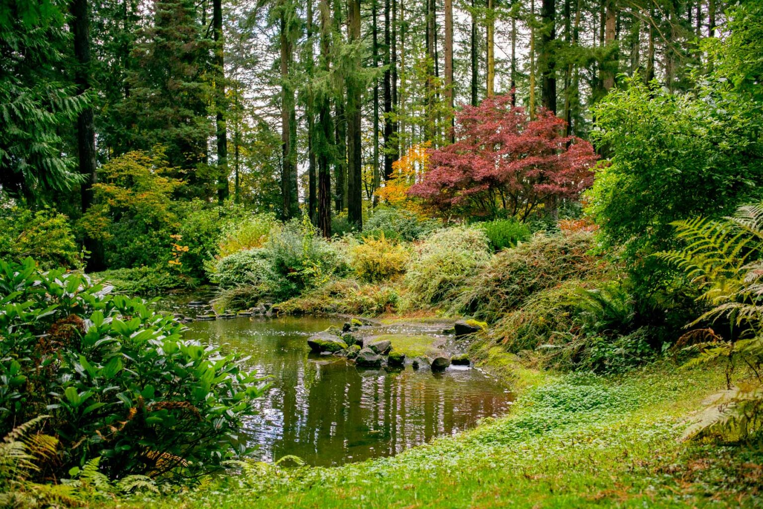 Visiting the PEACEFUL Portland Grotto (Helpful Guide + Photos)