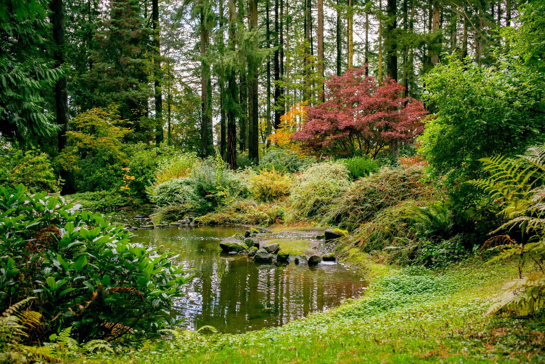 Visiting the PEACEFUL Portland Grotto (Helpful Guide + Photos)