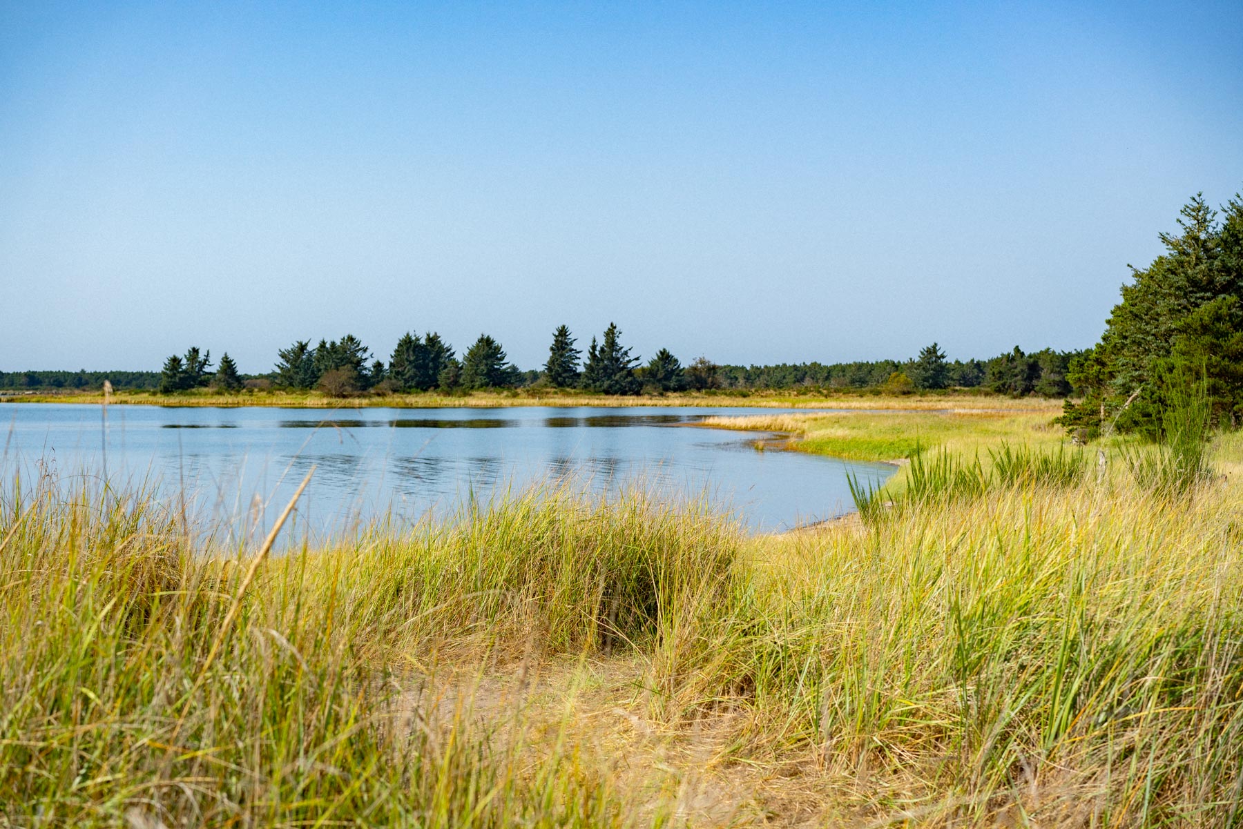 10 BEST Things to Do at Fort Stevens State Park (Helpful Guide)