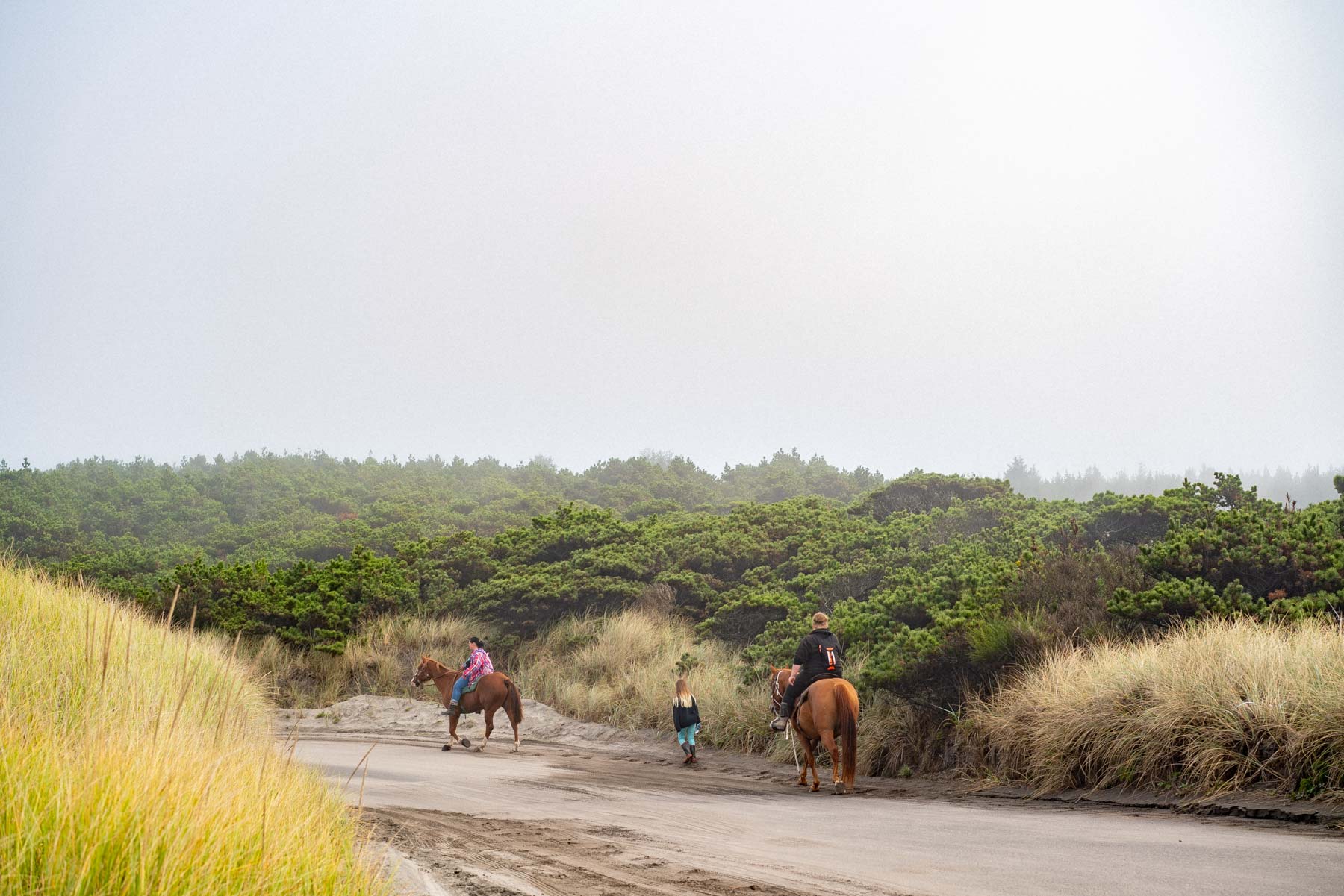 10 BEST Things to Do at Fort Stevens State Park (Helpful Guide)