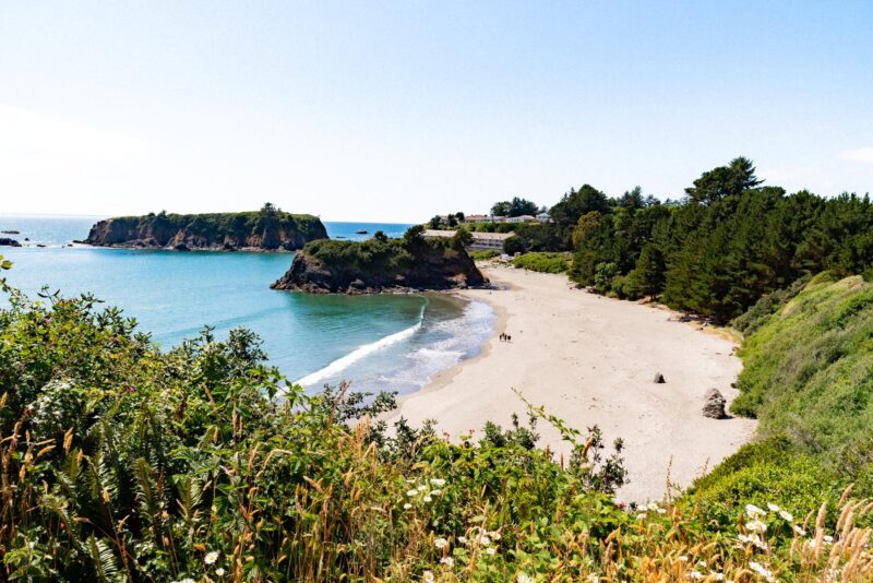 10+ BEST Things to Do at Samuel H. Boardman Scenic Corridor